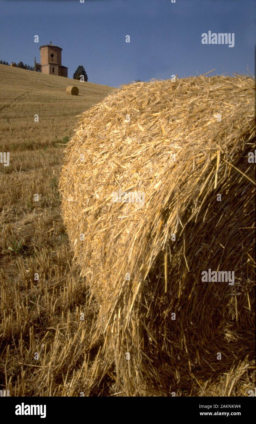 Tuscany's famous landscape is known forfor its rolling hills, cypress ...