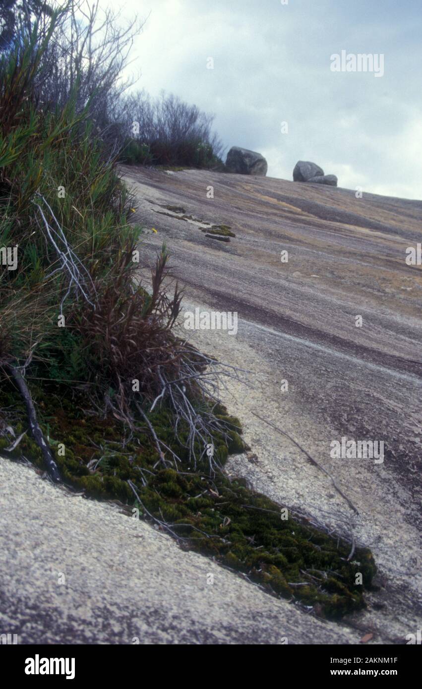 Abrasion Science Definition