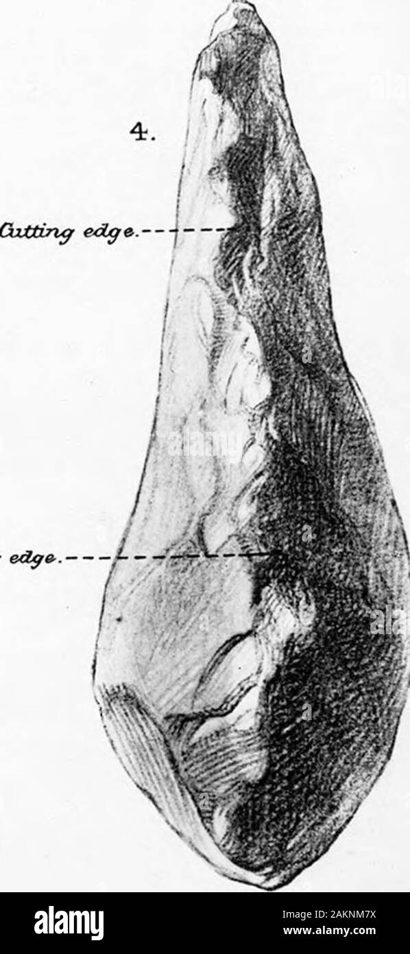 The Transition from Rostro-Carinate Flint Implements to the Tongue ...