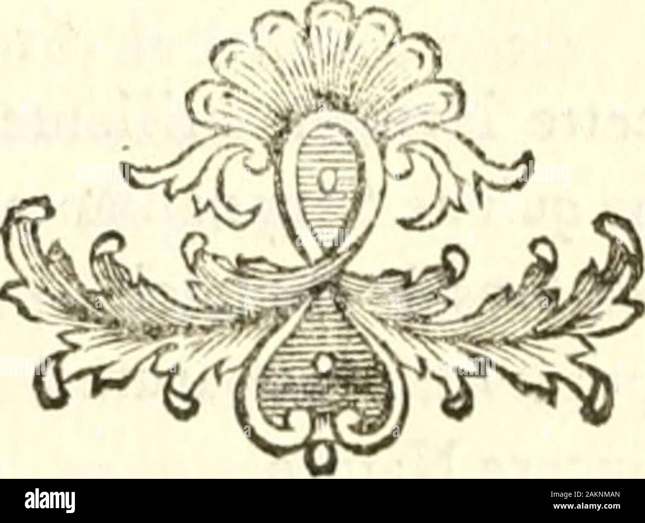 Bouche ouverte hi-res stock photography and images - Alamy