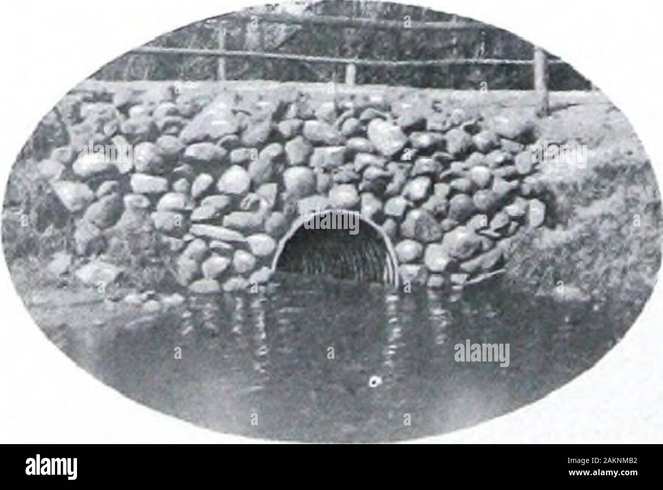 Apollo best bloom and Appollo-keystone copper steel galvanized sheets ...