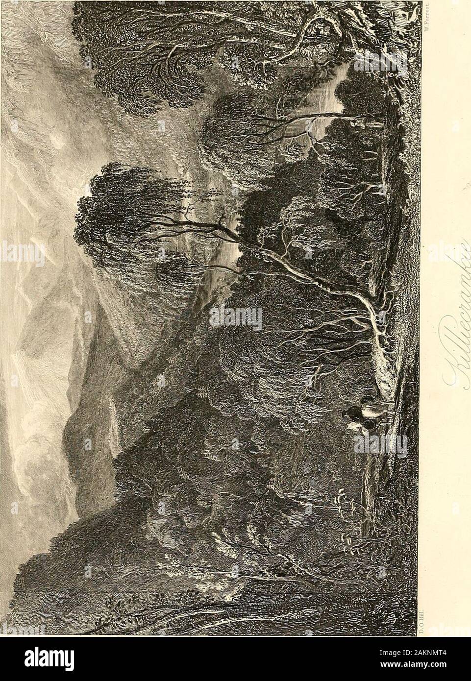 Carbeth scotland hi-res stock photography and images - Alamy