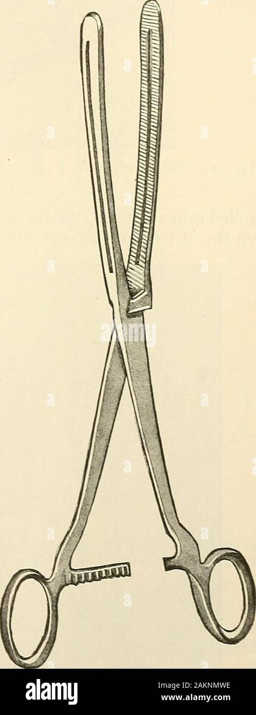 Gastro intestinal diseases hi-res stock photography and images - Alamy