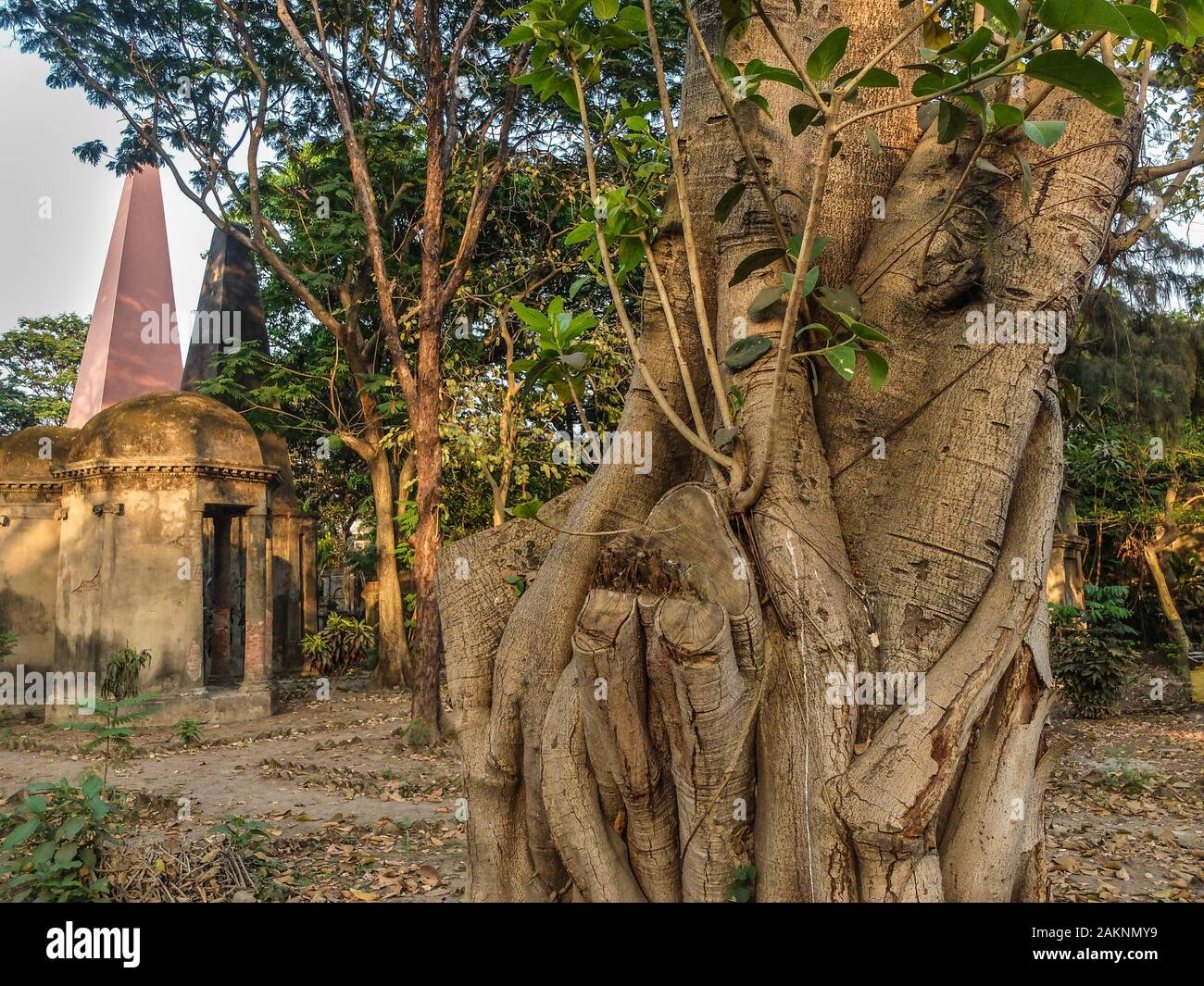 Victorian Tombstones High Resolution Stock Photography and Images - Alamy