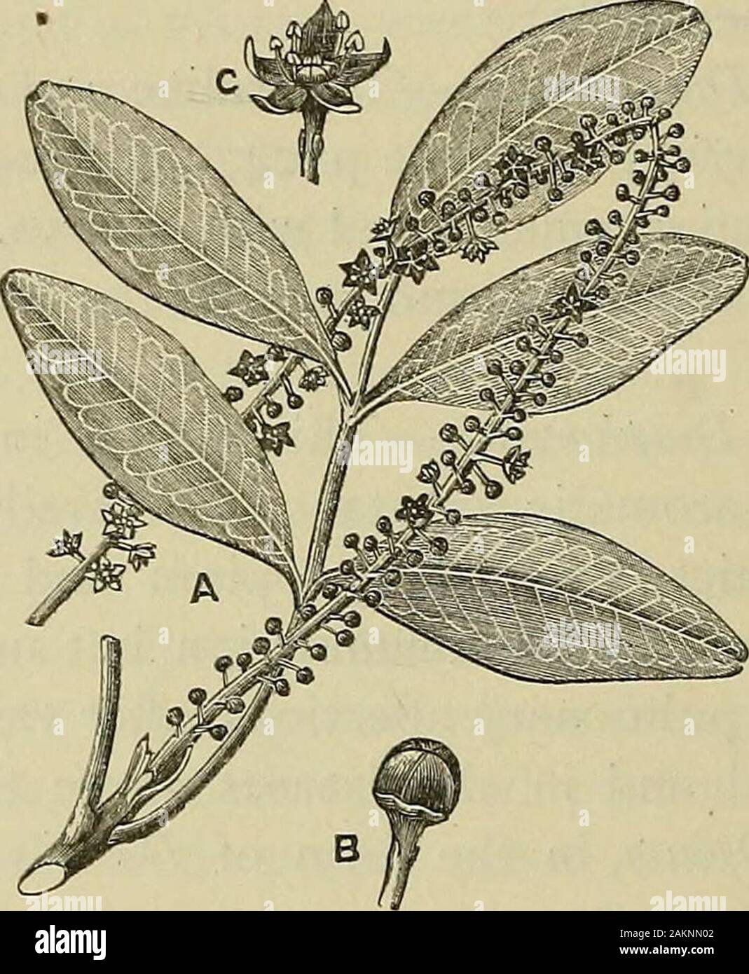 Booksubjecttherapeuti hi-res stock photography and images - Alamy