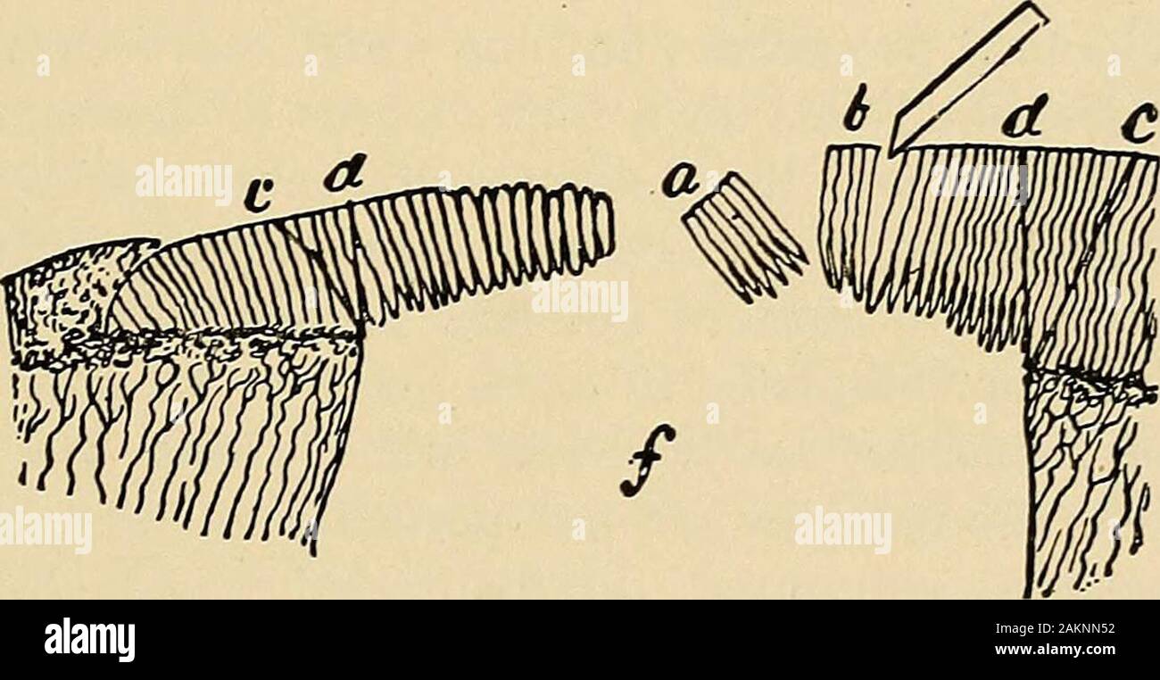 Enamel rods hi-res stock photography and images - Alamy