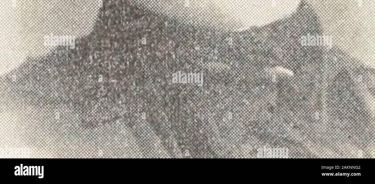 History and genealogy of the descendants of John Lawrence Hester and ...