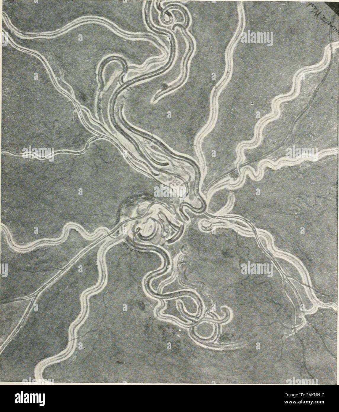 Binocular refraction hi-res stock photography and images - Alamy
