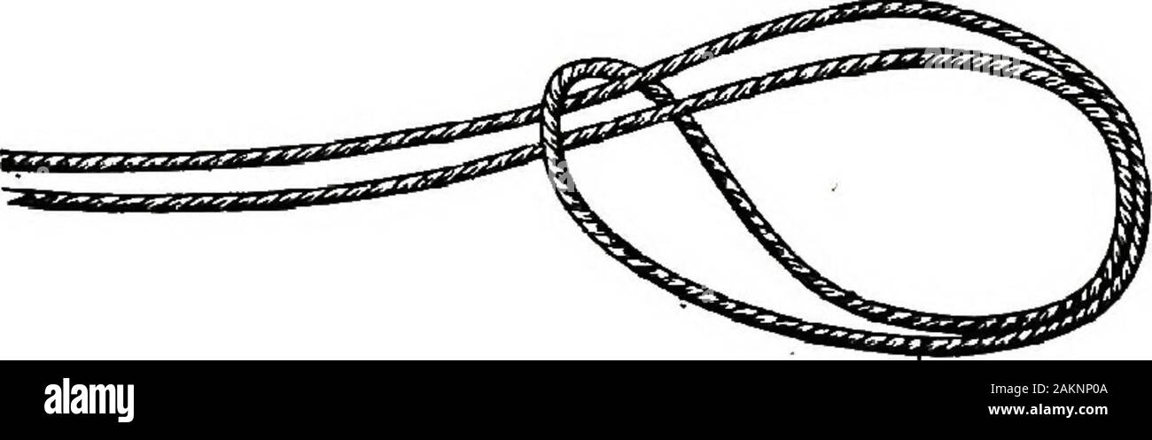 Dog hobble hi-res stock photography and images - Alamy