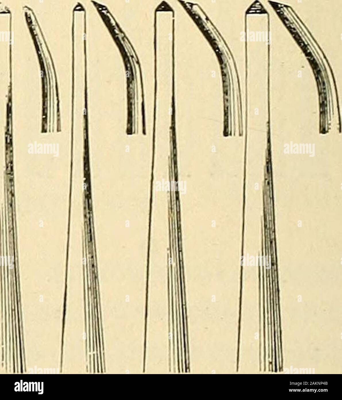 Principles and practice of operative dentistry . A set of three-edged ...