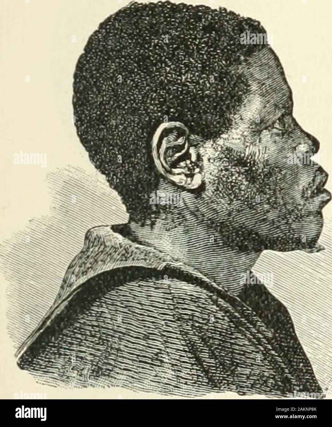 Anthropology; an introduction to the study of man and civilization ...