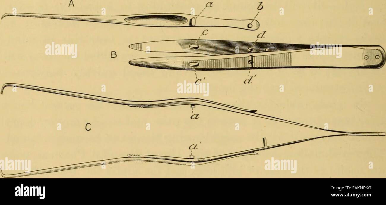 Dissecting forceps hi-res stock photography and images - Alamy