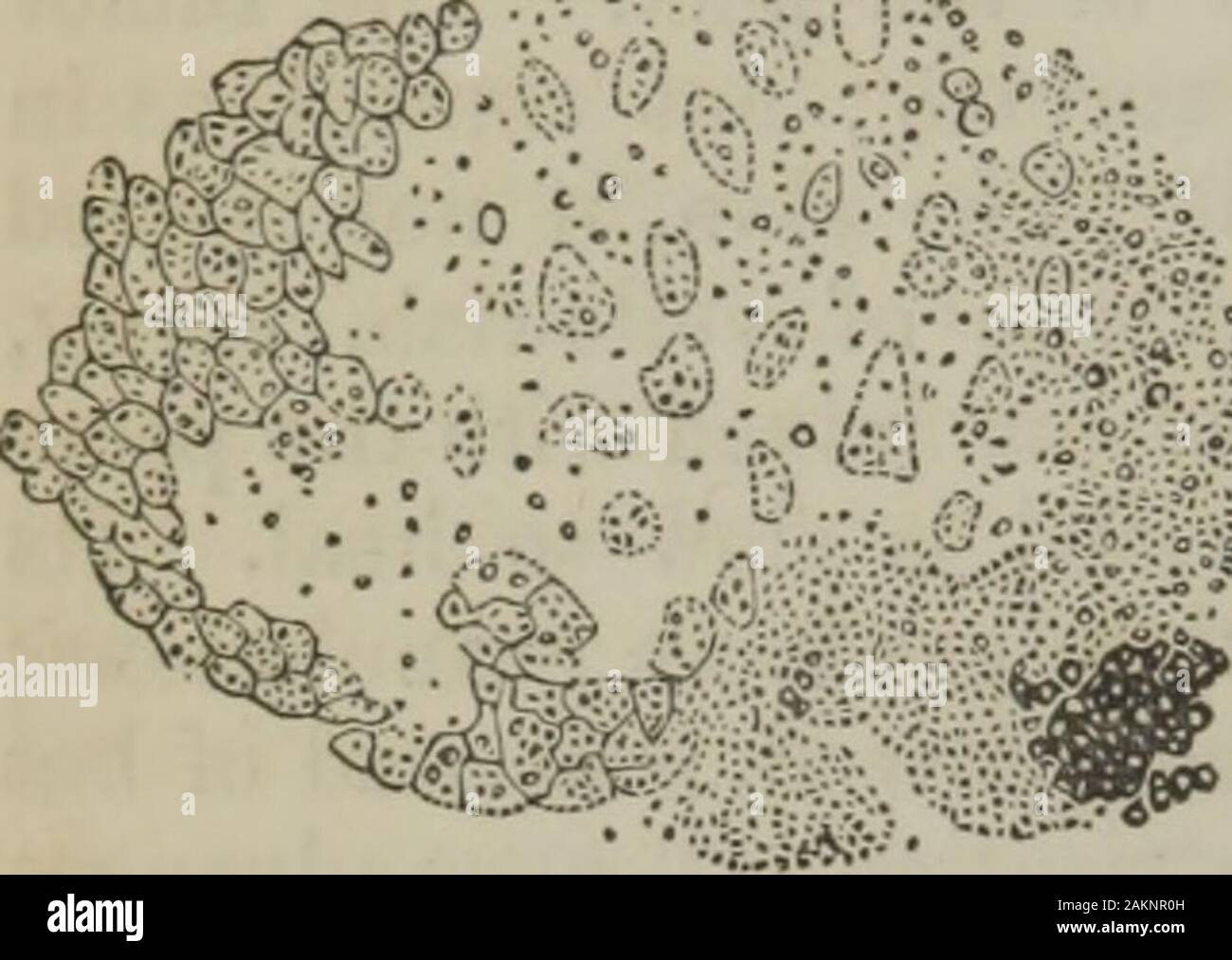 Bercle hi-res stock photography and images - Alamy