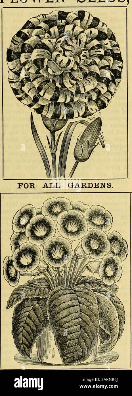 Suttons seeds catalogue hi-res stock photography and images - Alamy