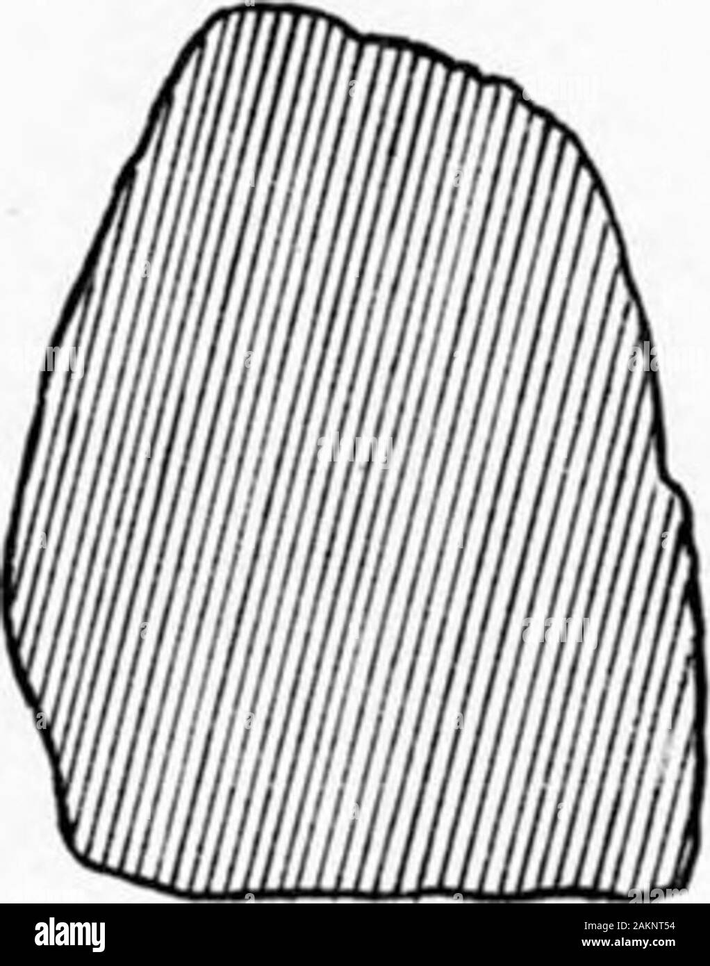 The Transition from Rostro-Carinate Flint Implements to the Tongue ...