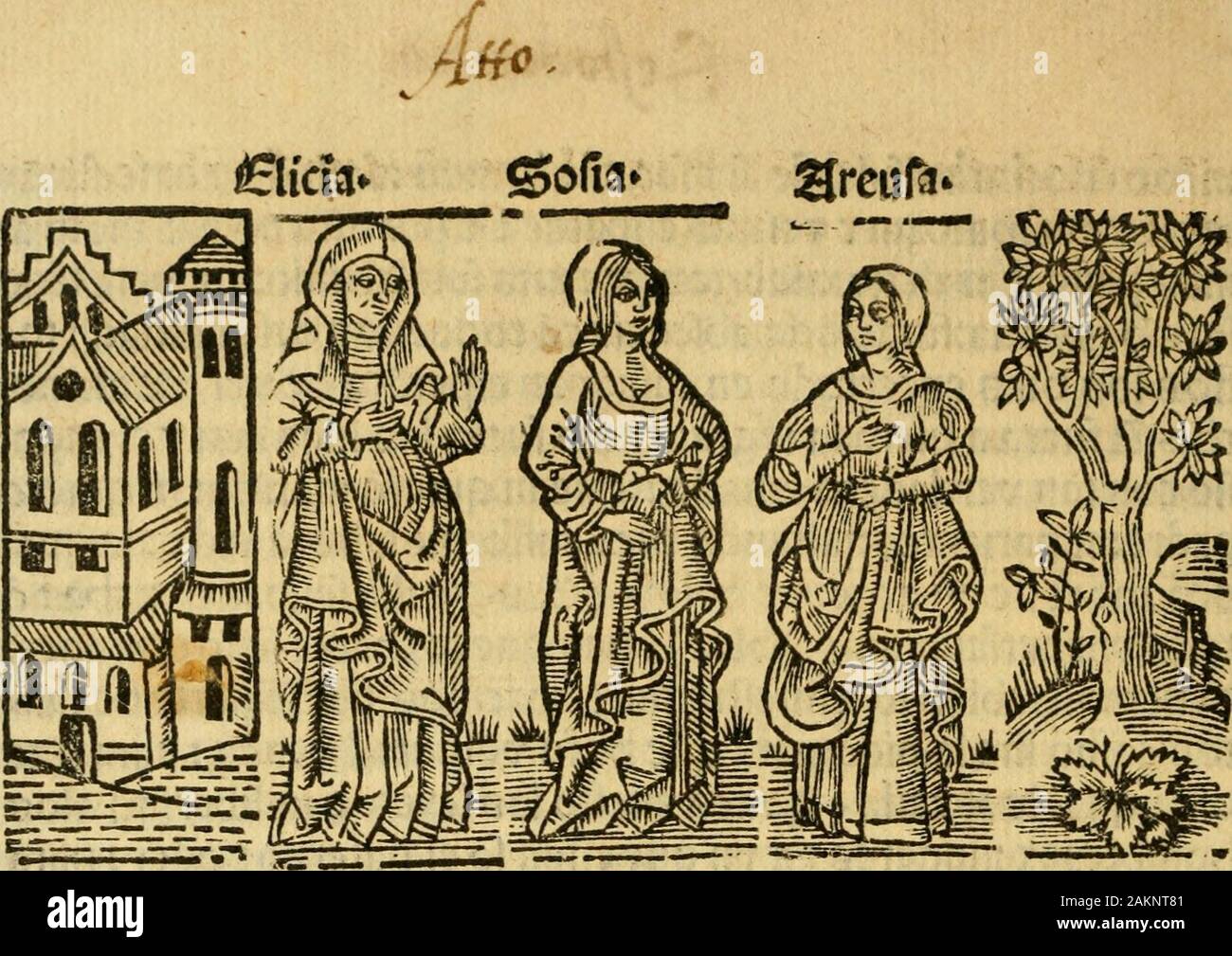 Lucrecia melibea hi-res stock photography and images - Alamy