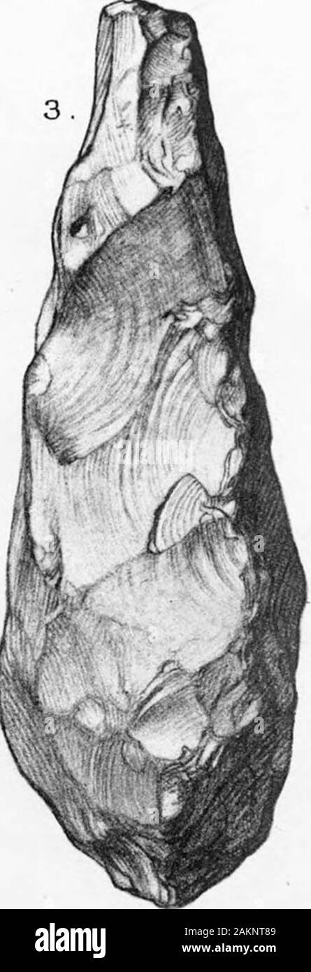 The Transition from Rostro-Carinate Flint Implements to the Tongue ...