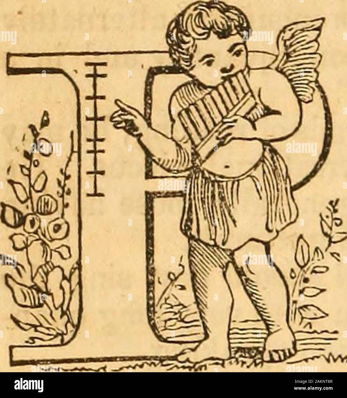 Ngs read hi-res stock photography and images - Alamy