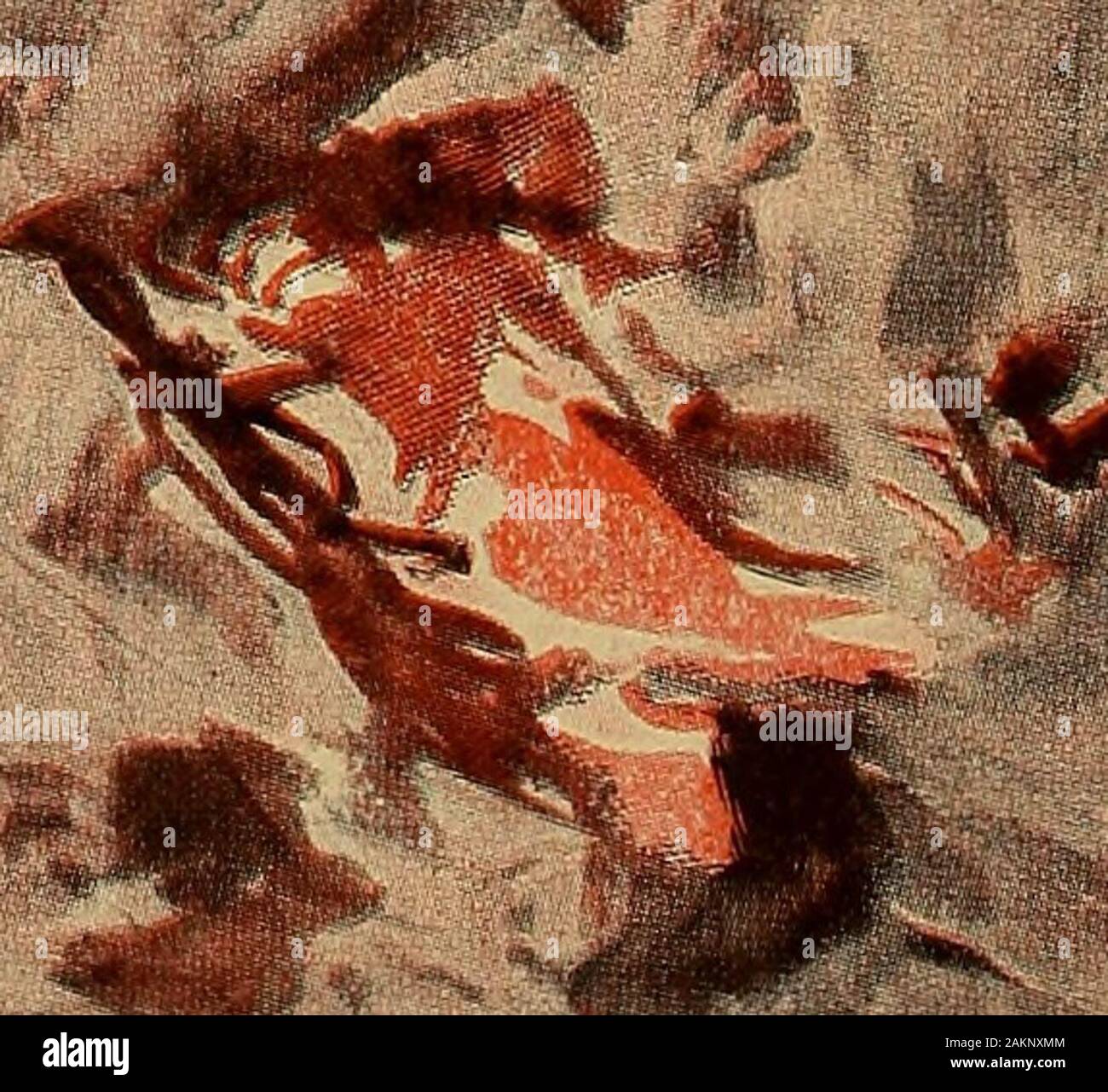 Inevitable surge hi-res stock photography and images - Alamy