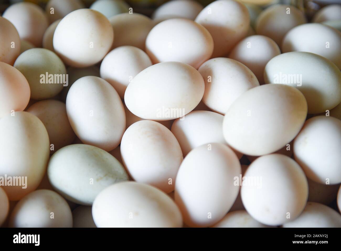 Fresh eggs texture background/ produce eggs fresh from the farm organic ...