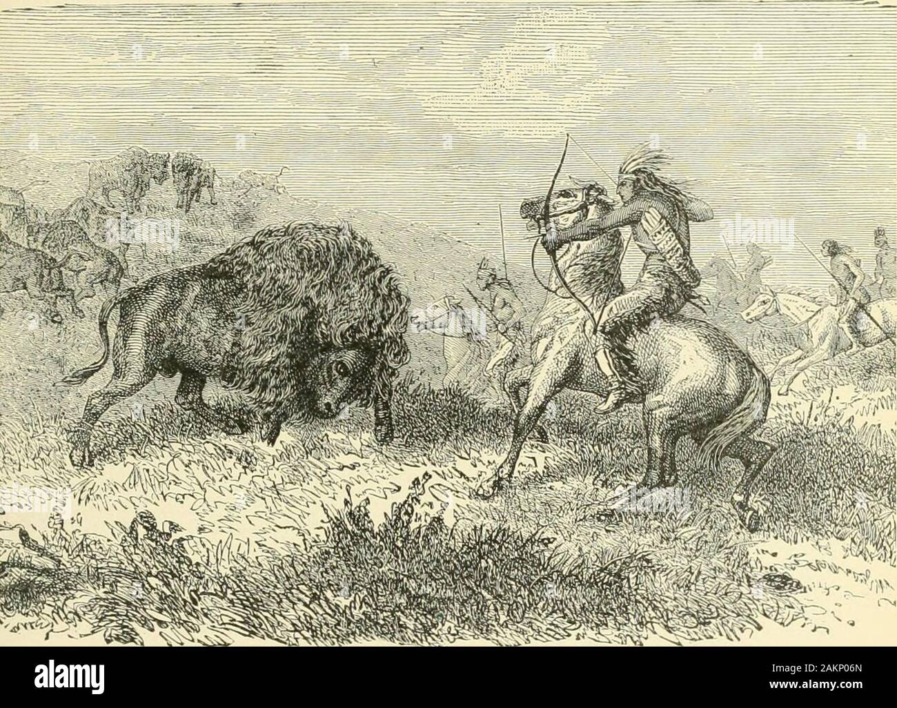 Buffalo Trappers High Resolution Stock Photography and Images - Alamy