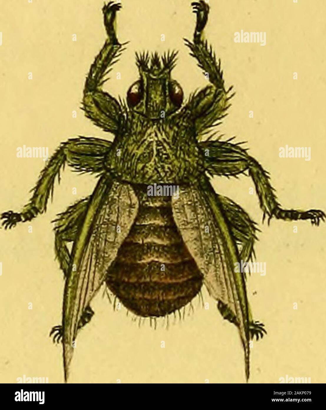 Different periods british history hi-res stock photography and images ...