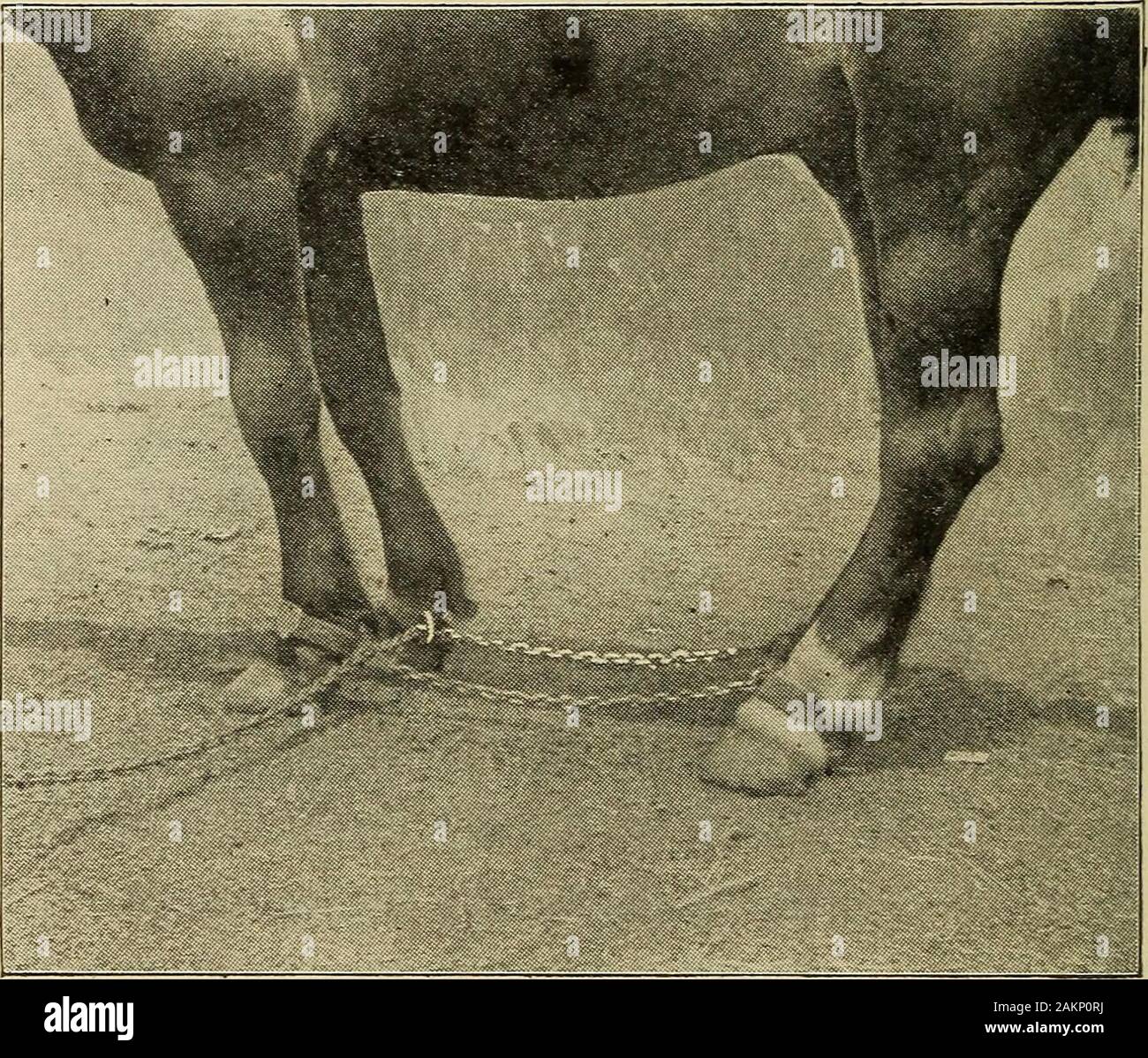 20 foot drop hi-res stock photography and images - Alamy