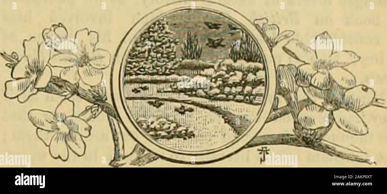 1888 calendar hi-res stock photography and images - Alamy