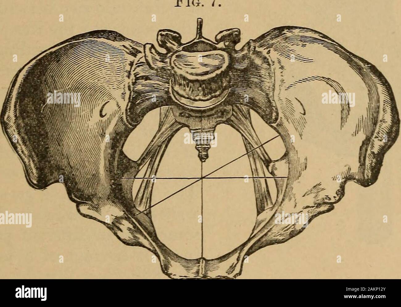 A treatise on the science and practice of midwifery . much less ...