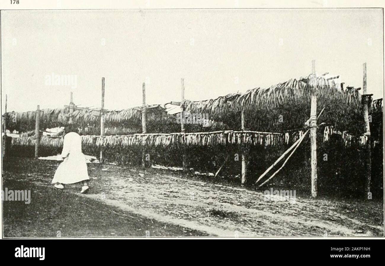 Pictorial Chosen and Manchuria . 178. Miiiiniitii (BJJi:^ pollack ...