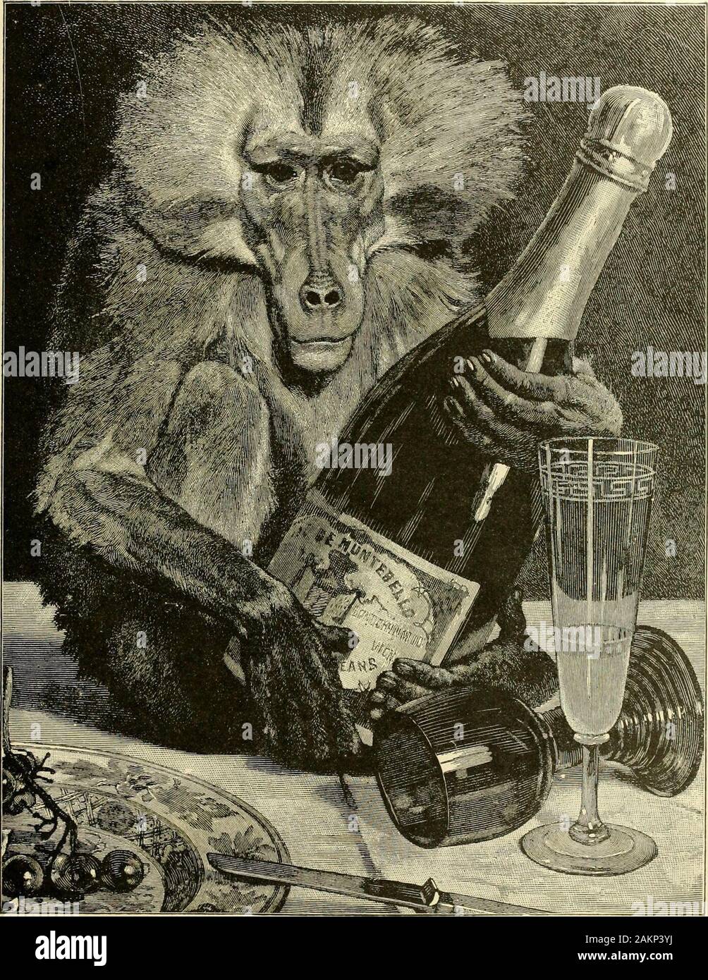 Hunting and trapping stories; a book for boys . A TAME BABOON Stock ...