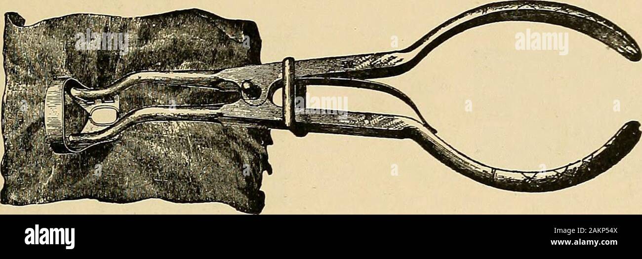 Clamp shown hi-res stock photography and images - Alamy