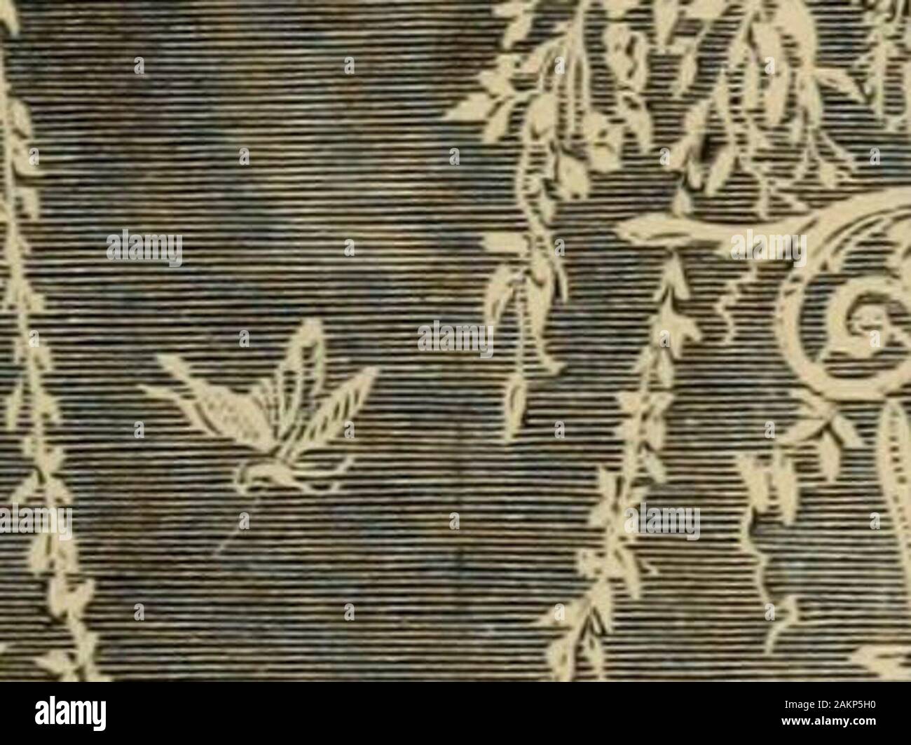 Examples of household taste Stock Photo - Alamy