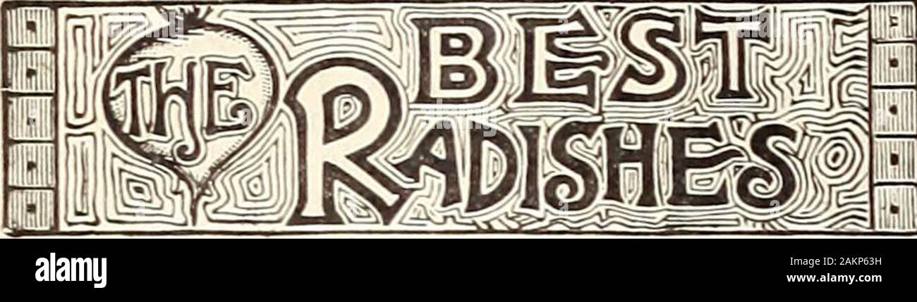 Garden and farm manual : 1905 . Field of big tom pumpkins. Over 20 tons ...