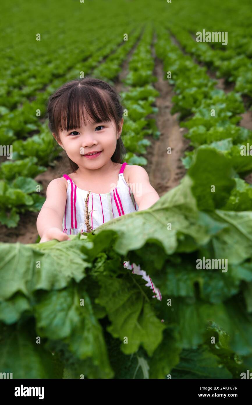 Oriental children picking vegetables Stock Photo - Alamy