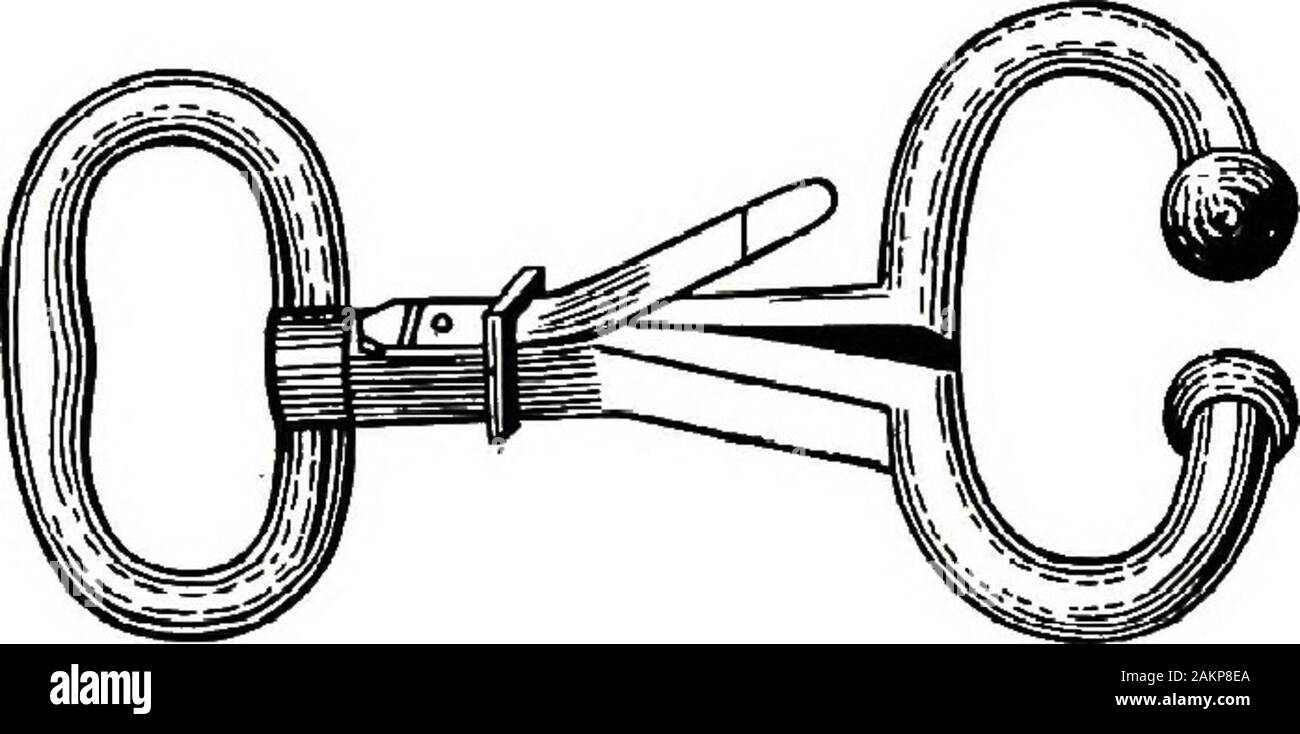 Restraint of domestic animals; a book for the use of students and ...