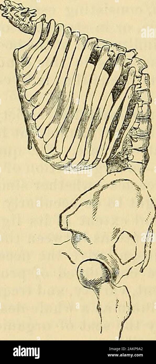 The science and art of surgery : being a treatise on surgical injuries ...