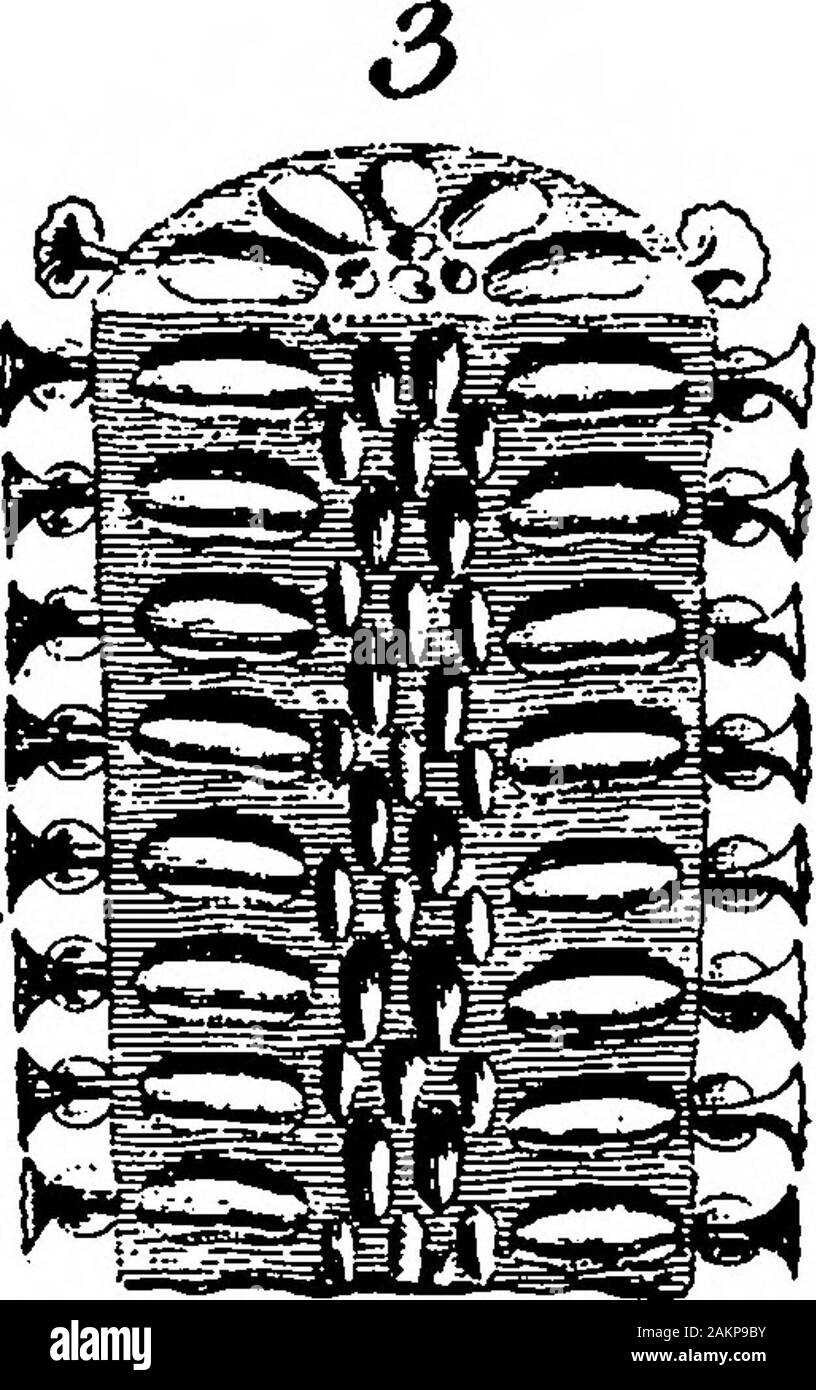 J a fe Cut Out Stock Images & Pictures - Alamy