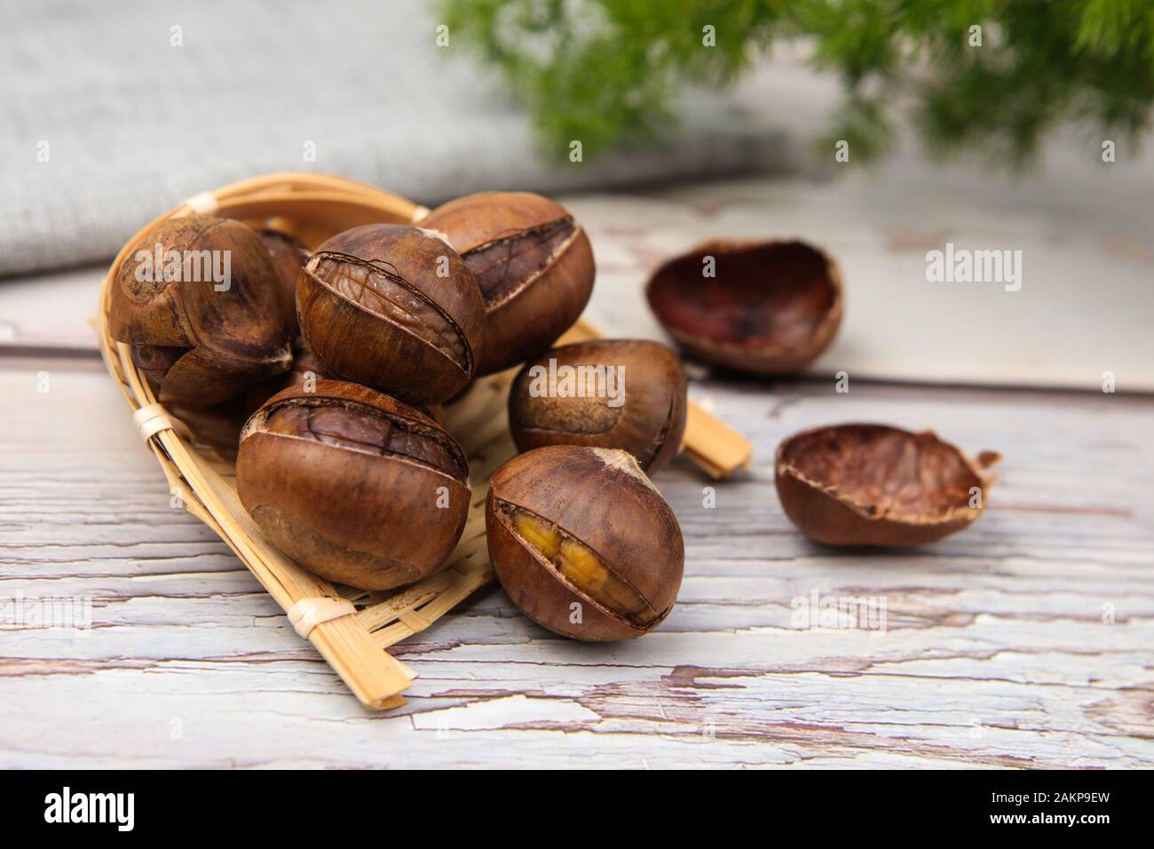 Chinese chestnut hi-res stock photography and images - Alamy