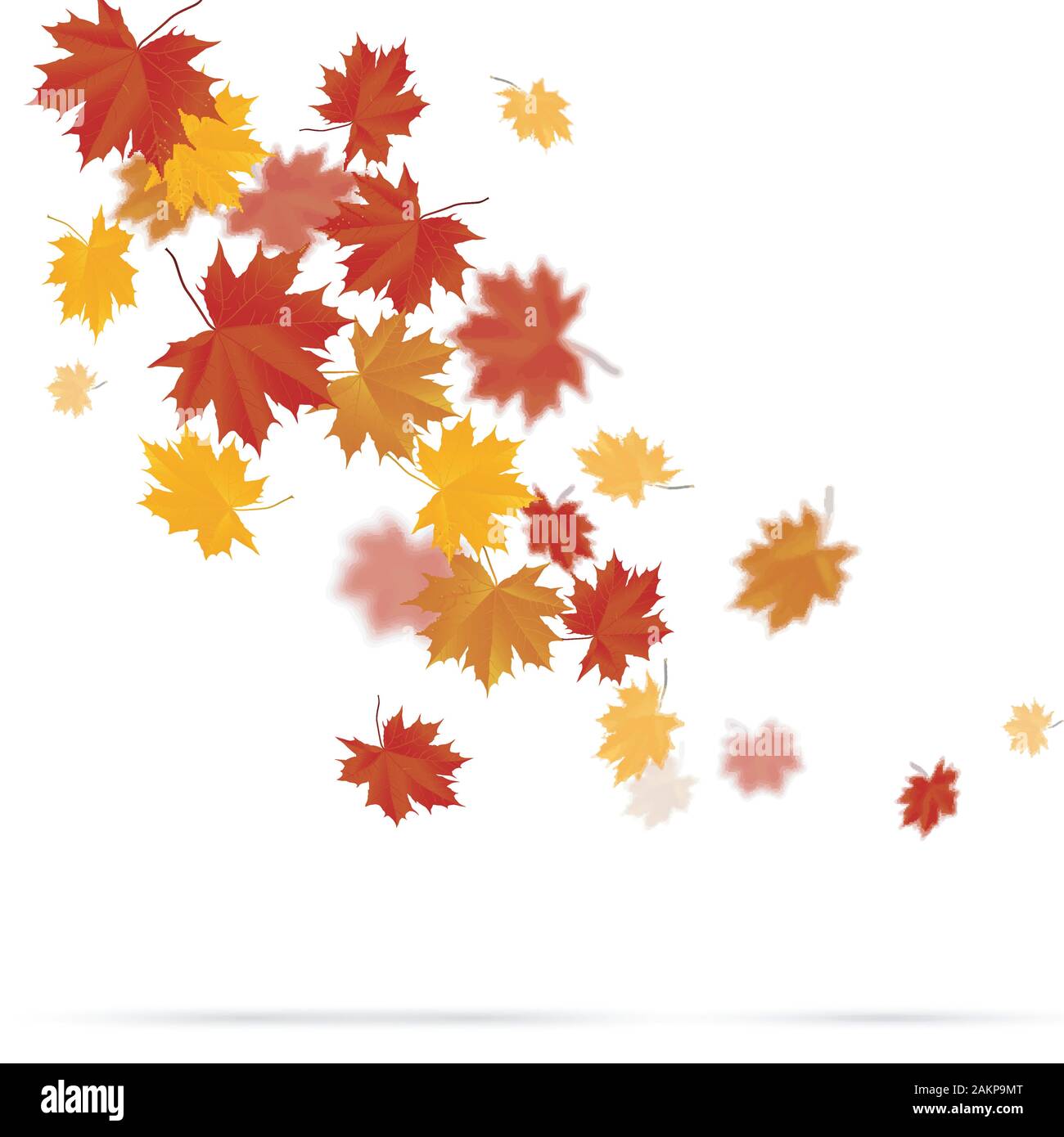 Autumn leaves on white background Stock Vector Image & Art - Alamy