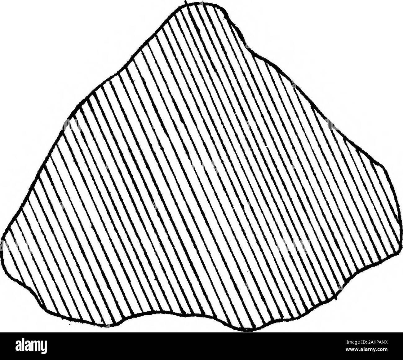 The Transition from Rostro-Carinate Flint Implements to the Tongue ...