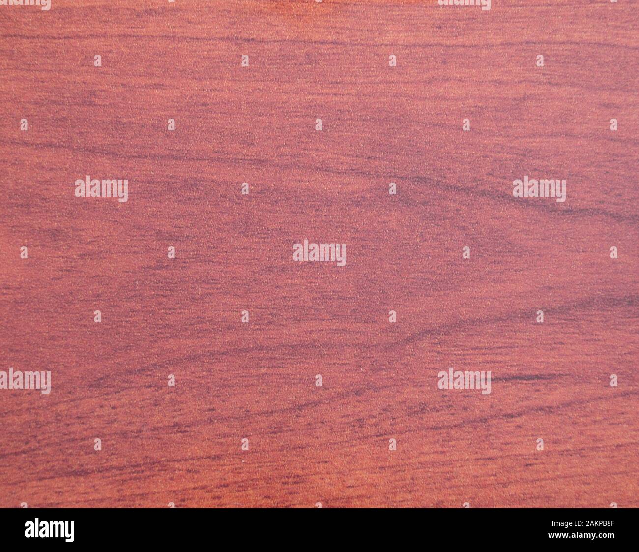 Mahogany natural wood texture on a cut closeup. Background Stock Photo ...