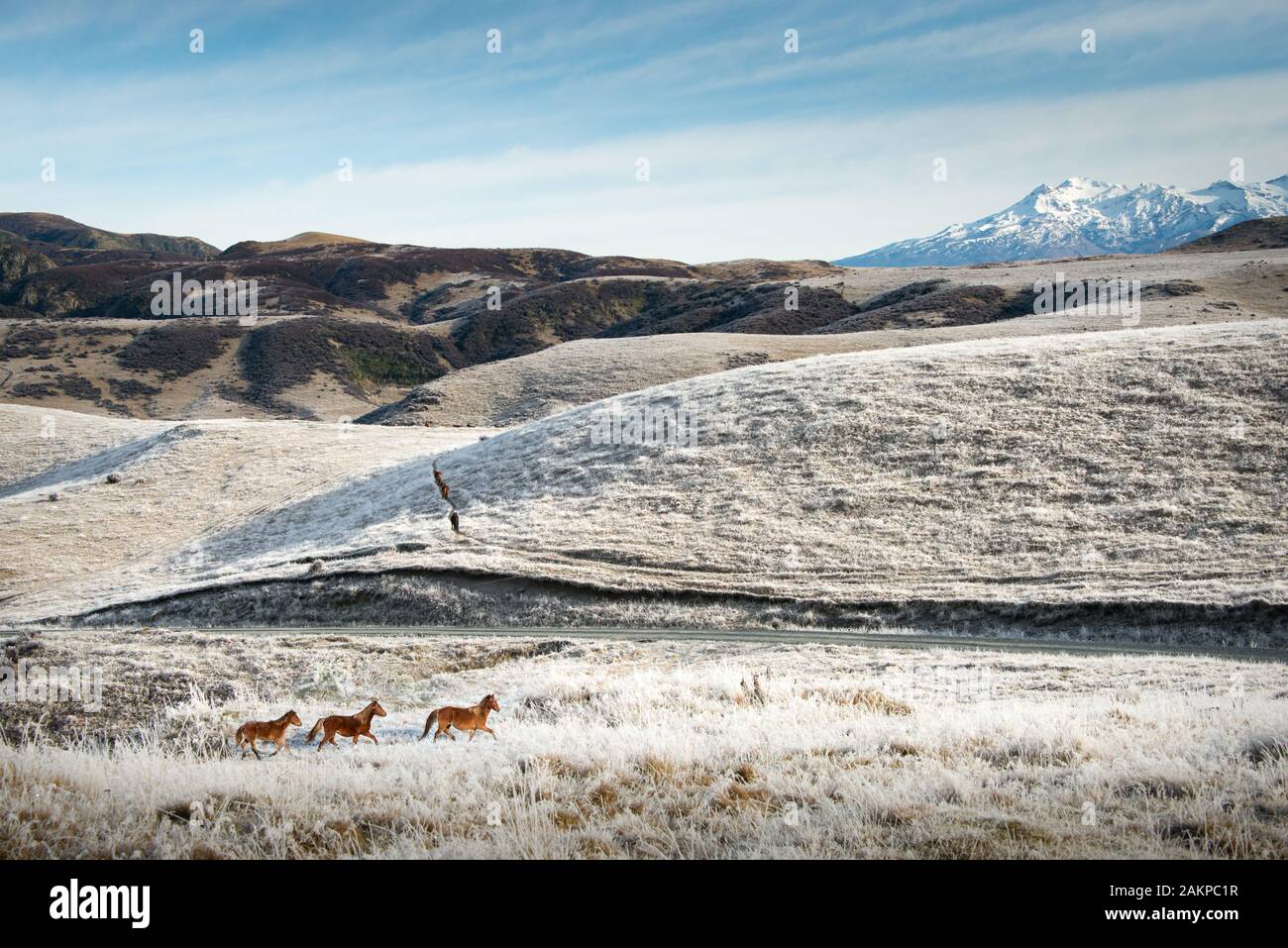 Kaimanawa mountain ranges hi-res stock photography and images - Alamy
