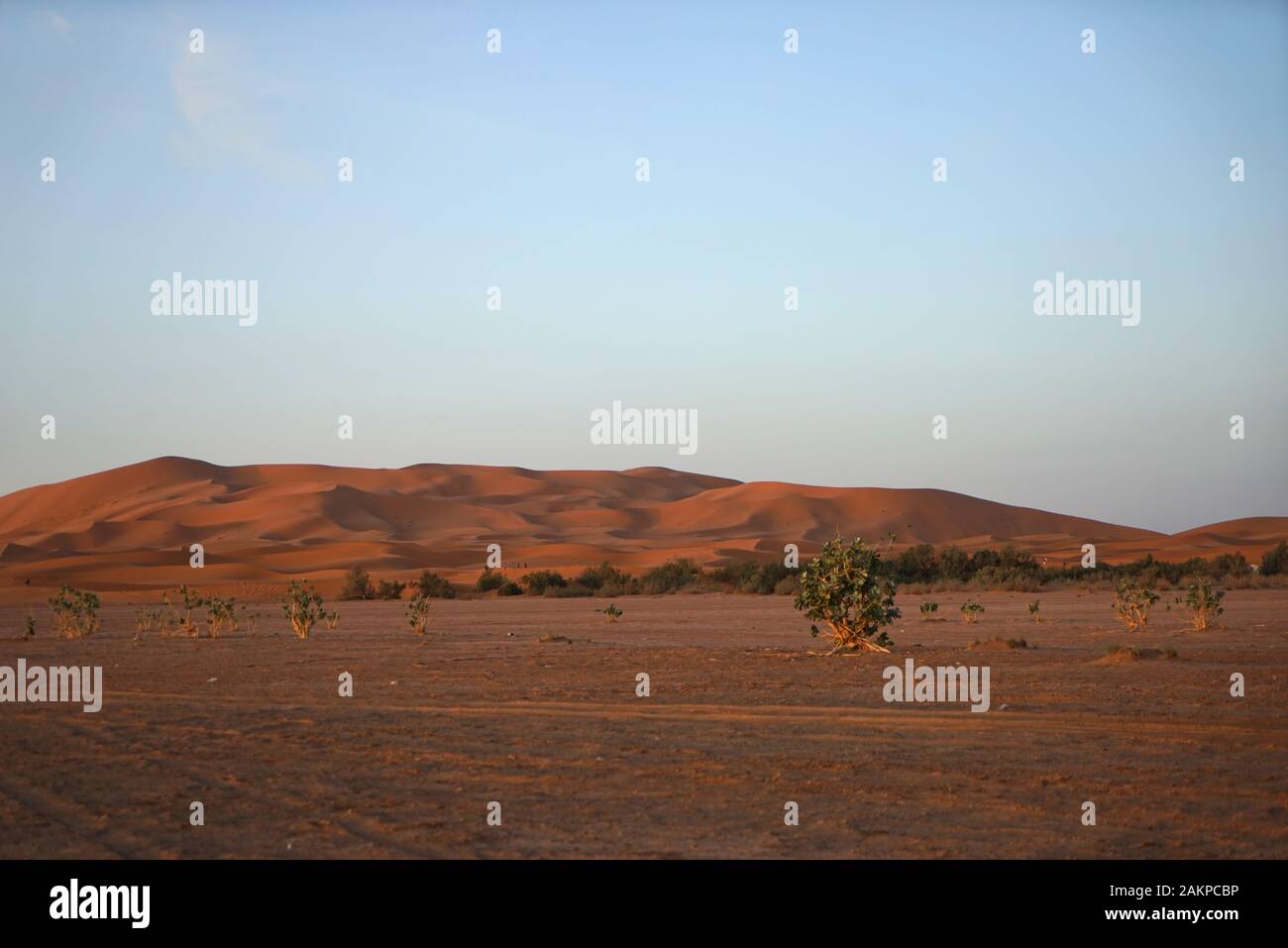 African deserts sahara