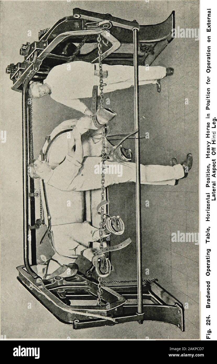 Restraint of domestic animals; a book for the use of students and ...