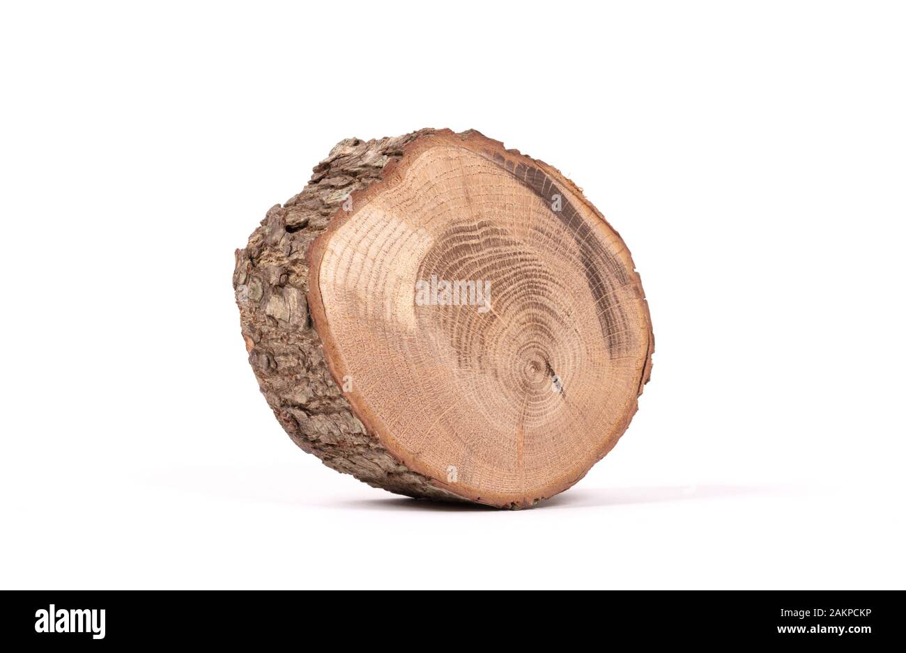 Irregular shape wood slab with bark and tree growth rings, isolated ...