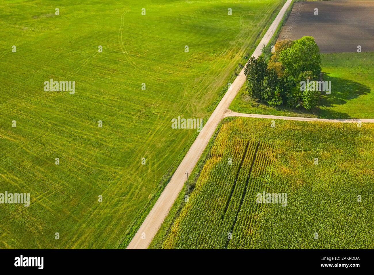Aerial View Of Lush Green Maize Farm High Resolution Stock Photography ...