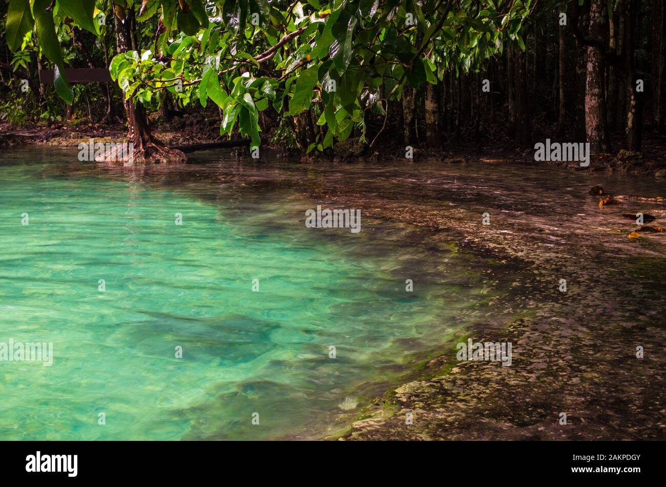 Krabi natural pool hi-res stock photography and images - Alamy