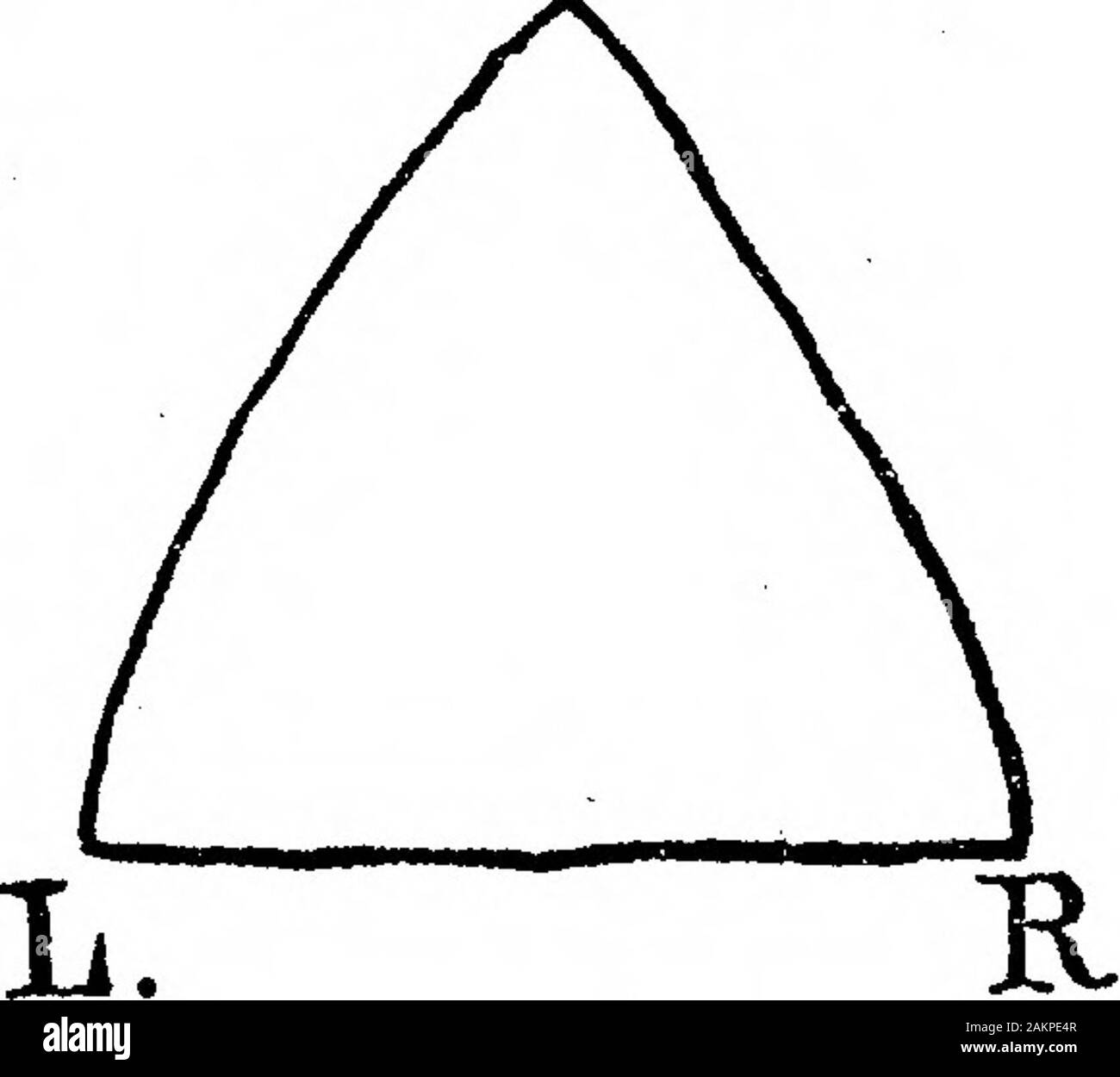 The Transition from Rostro-Carinate Flint Implements to the Tongue ...