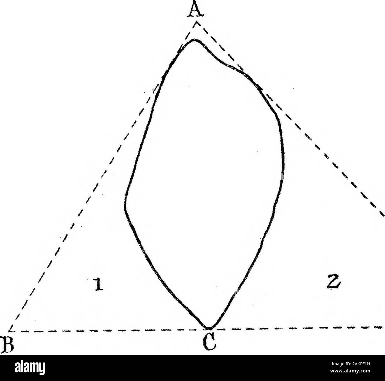 Difference specimen Black and White Stock Photos & Images - Alamy